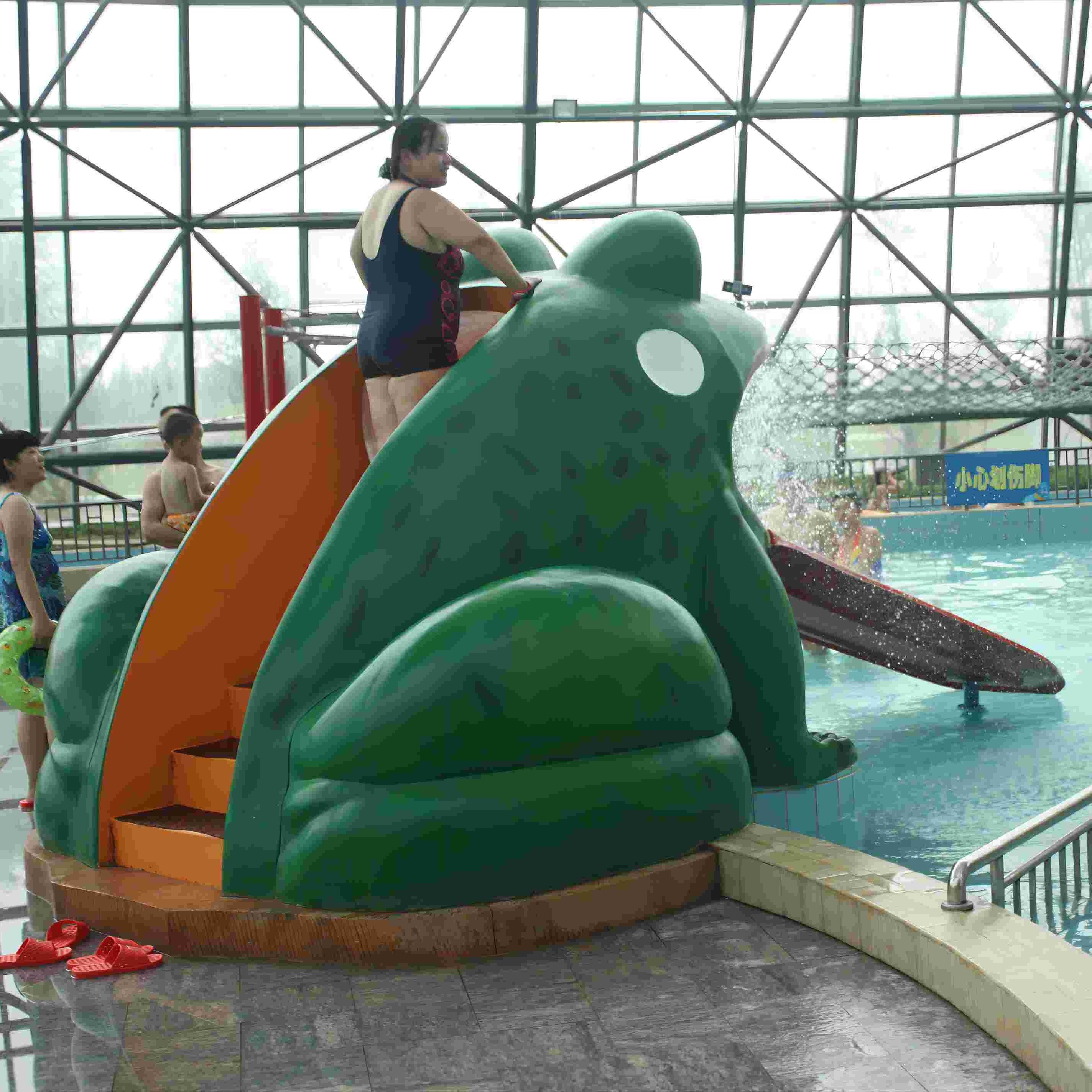 Frog Shaped Water Pool Slides , Aqua Park Fiberglass Slide Water Play ...